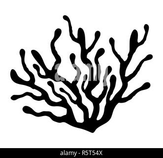 red algae silhouette vector symbol icon design. Beautiful illustration ...