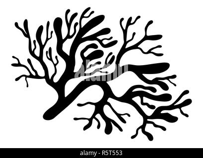 red algae silhouette vector symbol icon design. Beautiful illustration ...
