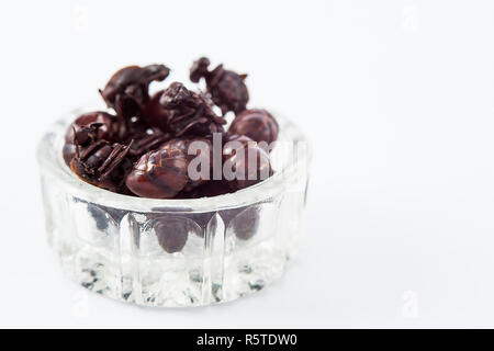 Ant big ass tradition of Santander - Colombian gastronomy Stock Photo ...