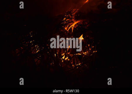 Fire. Burning of rice straw at night Stock Photo - Alamy