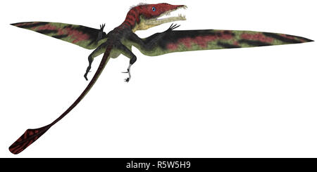 The carnivorous Eudimorphodon was a pterosaur flying reptile that Stock ...