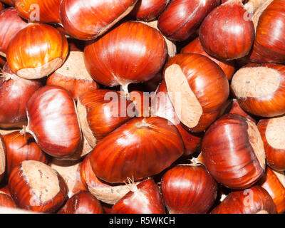 background assortment of big brown round chestnuts Stock Photo - Alamy