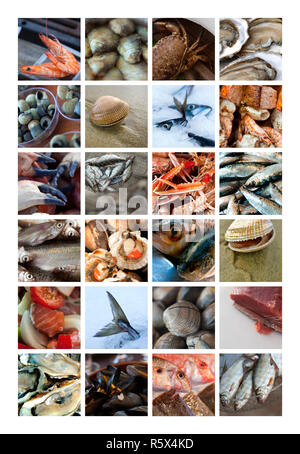 angle fish collage Stock Photo - Alamy