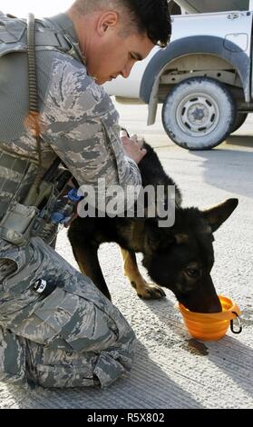 Military working dog Jimo with the 379th Expeditionary Security Forces ...