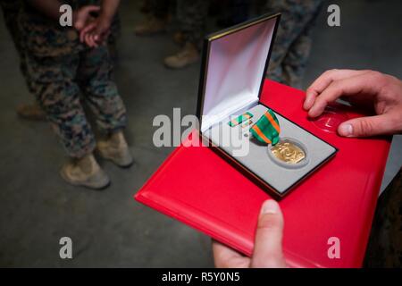 A U.S. Navy Seaman reviews his Achievement Medal while serving as ...