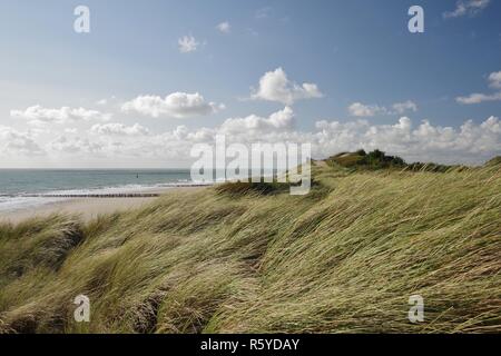 dike,dunes,beach with groynes and north sea in zoutelande,walcheren ...