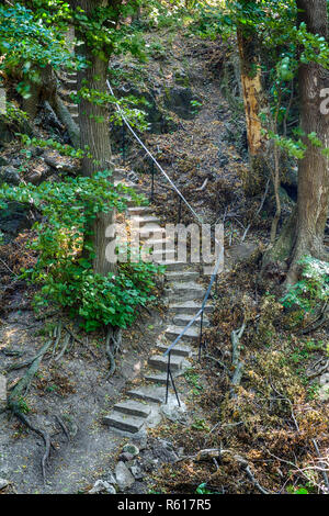 Burgruine Lauenburg bei Stecklenberg Stock Photo - Alamy