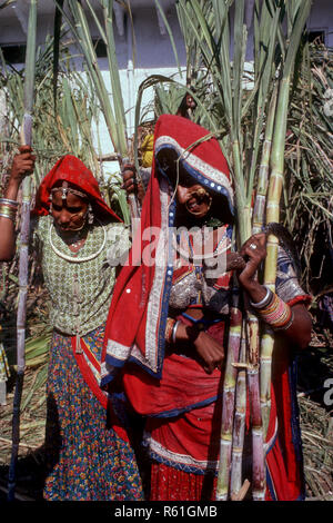 A traditional dressed women with Sugar cane Stock Photo - Alamy