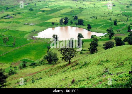 Greenery at Trimbakeshwar, near Nasik, Maharashtra, India, Asia Stock ...