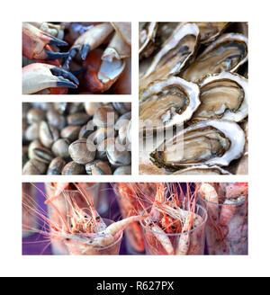Collage of crustaceans Stock Photo - Alamy