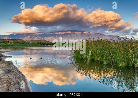 Roper Lake, Pinaleno Mountains in distance, Roper Lake State Park, near ...