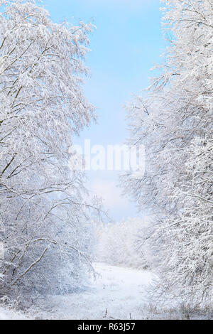 The first snow of the new year in Zhengzhou City, central China's Henan ...