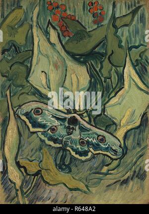 Vincent van Gogh, Emperor Moth 1889 Oil on canvas. Van Gogh Museum ...