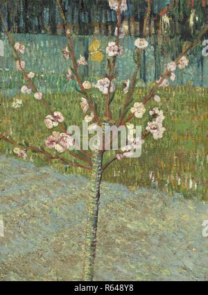 Peach Trees in Flower, by Vincent van Gogh, 1889, Courtauld Galleries ...