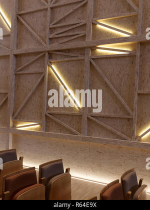Detail of interior cladding with lighting feature. Auditorium Carnal ...