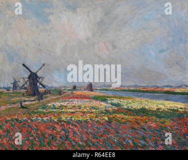Tulip fields near Leiden', 1886. Artist: Claude Monet. Monet was a ...