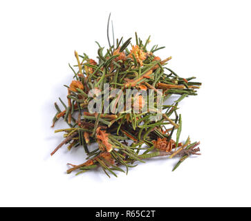 Medicinal herbs, Labrador Tea, wild rosemary, nettle, plantain ...
