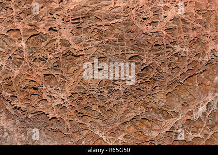 Boxwork Formations in a Cave Ceiling in Wind Cave National Park in ...