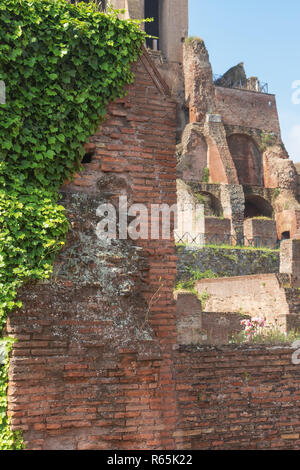 Buildings covered with climbing plants, Buildings in Coswig, 1917 ...