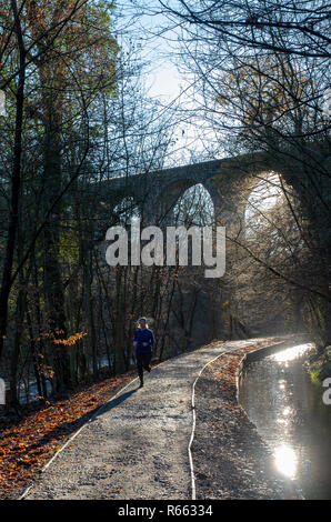 The Camps Railway viaduct, Almondell and Calderwood country park, West ...