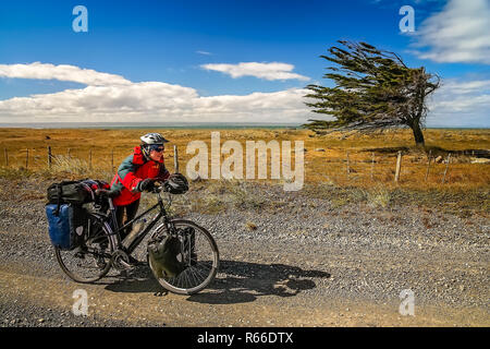 Woman struggling against strong wind, holding on to leaning tree, wind ...