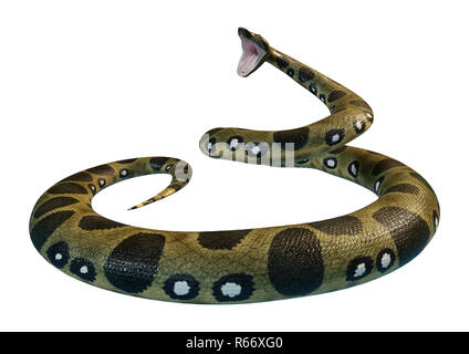 3D rendering of an anaconda snake isolated on white background Stock ...