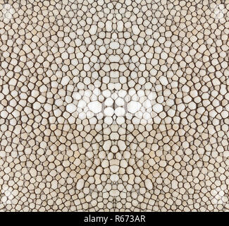 stingray skin texture. Background nature wallpaper Stock Photo - Alamy