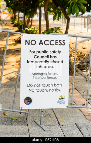 Health warning sign relating to a Spectacled flying fox or Spectacled ...