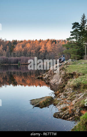 Tarn Hows in the autumn with mist Lake District Cumbria England Stock ...