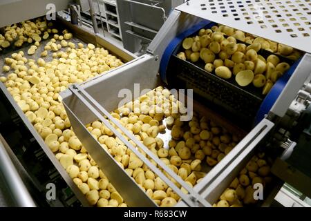 Lays crisps production line at the Frito-Lay factory on November 22 ...