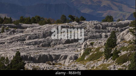Beautiful high-altitude limestone pavement near the Col de Soudet, (c ...