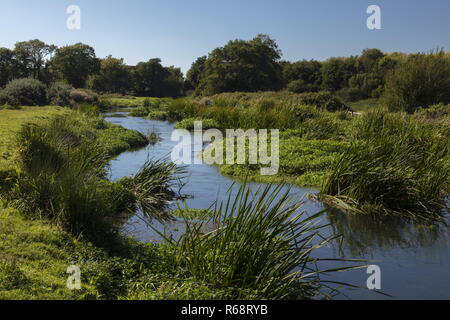 Wareham Common, in the valley of the River Piddle, Wareham. Dorset ...