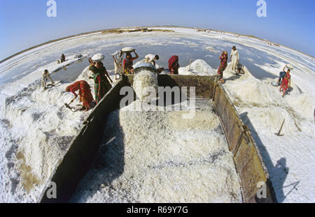Salt manufacture, salt pans, Wadala, Bombay, Mumbai, Maharashtra, India ...