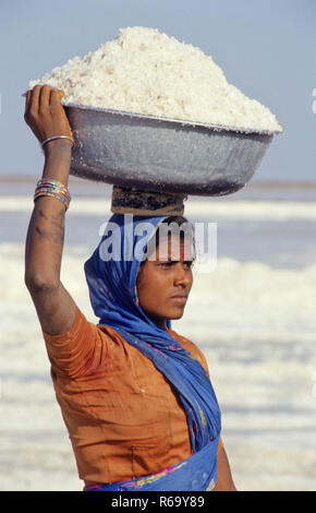 Salt making, Maharashtra, India, Asia Stock Photo - Alamy