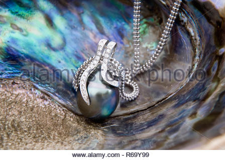 White Gold Pendant With Tahitian Pearl On Rainbow Lip Pearl Oyster ...