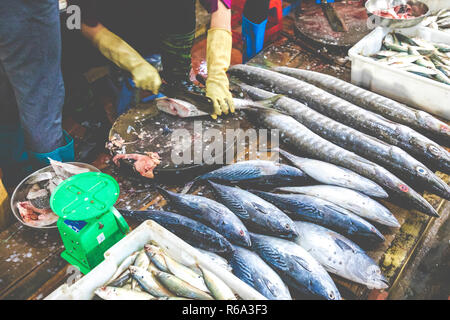 Street Vendor in Cat Ba Island, Vietnam traditional fish market people ...