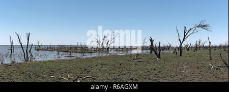 The marshy shoreline of Lake Ngami south of the Okawango Delta in ...