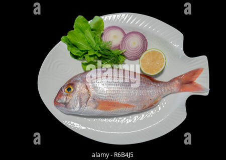 Red porgy as known as sea bream with rockets leaves served on white ...
