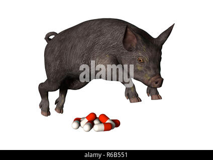 3D Rendering Pig and Pills on White Stock Photo - Alamy