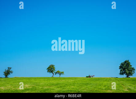 Trecker Within Trees Stock Photo - Alamy