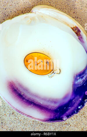 Bernstein mit Insekt Stock Photo - Alamy