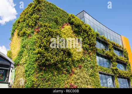 Green wall vertical garden of MTV studios building located in Camden ...