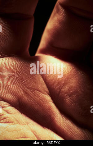 Skin folds human hand close up Stock Photo - Alamy