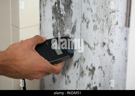 Person Measuring Wetness Of Moldy Wall Stock Photo - Alamy