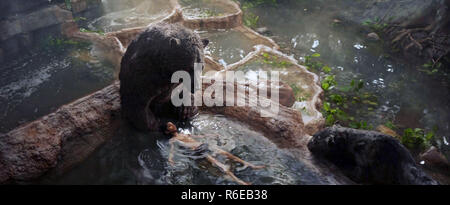 MOWGLI: LEGEND OF THE JUNGLE, from left: Bagheera (voice: Christian ...