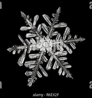 Extreme magnification - Real snowflake isolated on black background ...