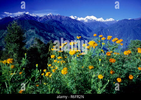 Kanchenjunga height 8600 meter, Sikkim, India, Asia Stock Photo - Alamy