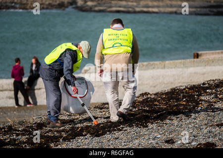 Aberystwyth Rotary Club members, wearing hi-vis tabards, volunteering ...