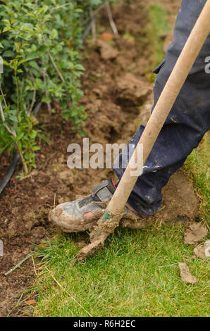 Person digging hole with farming equipment. A senior hispanic man digs ...