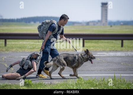 Metropolitan Police Service Dog Training Establishment, Keston, Kent ...